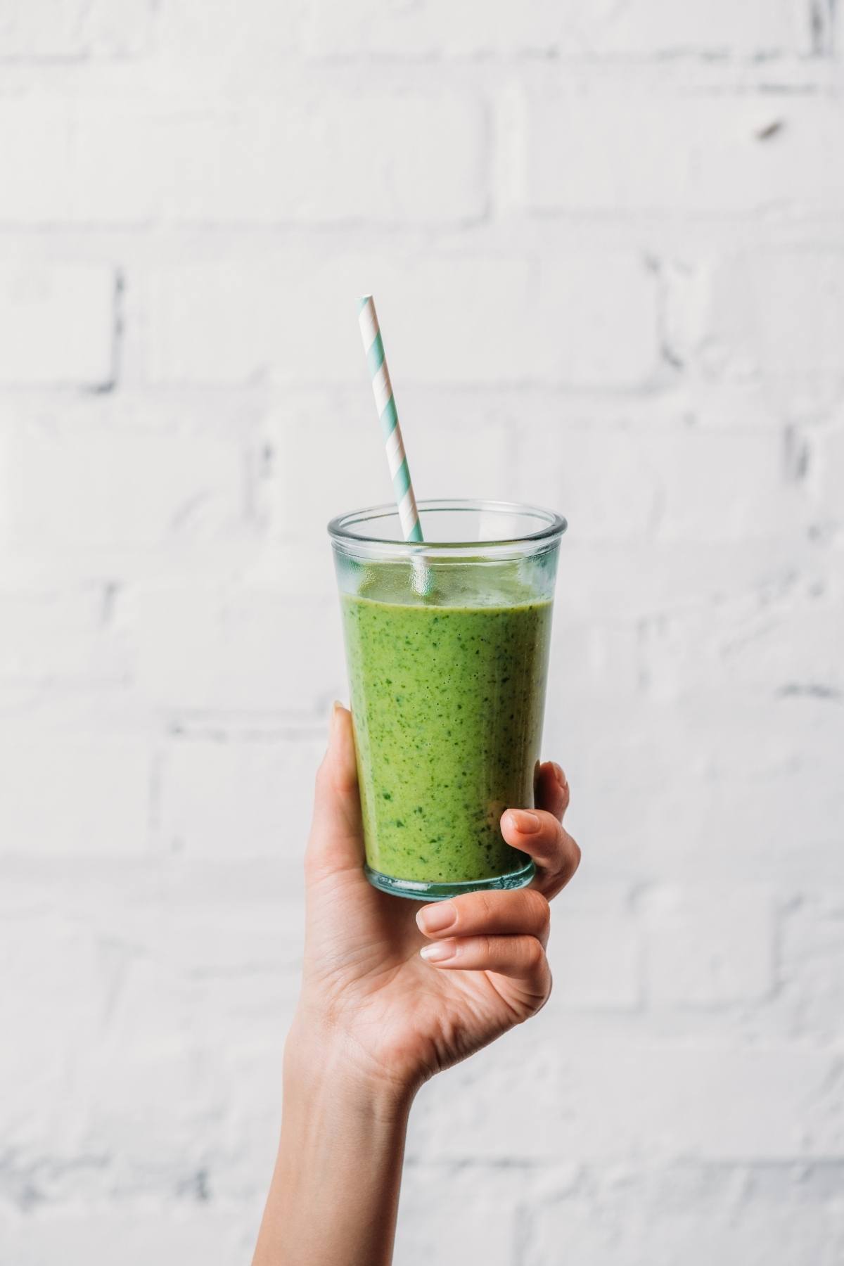 Vegan Panera Bread options (2024) - Damn Tasty Vegan
