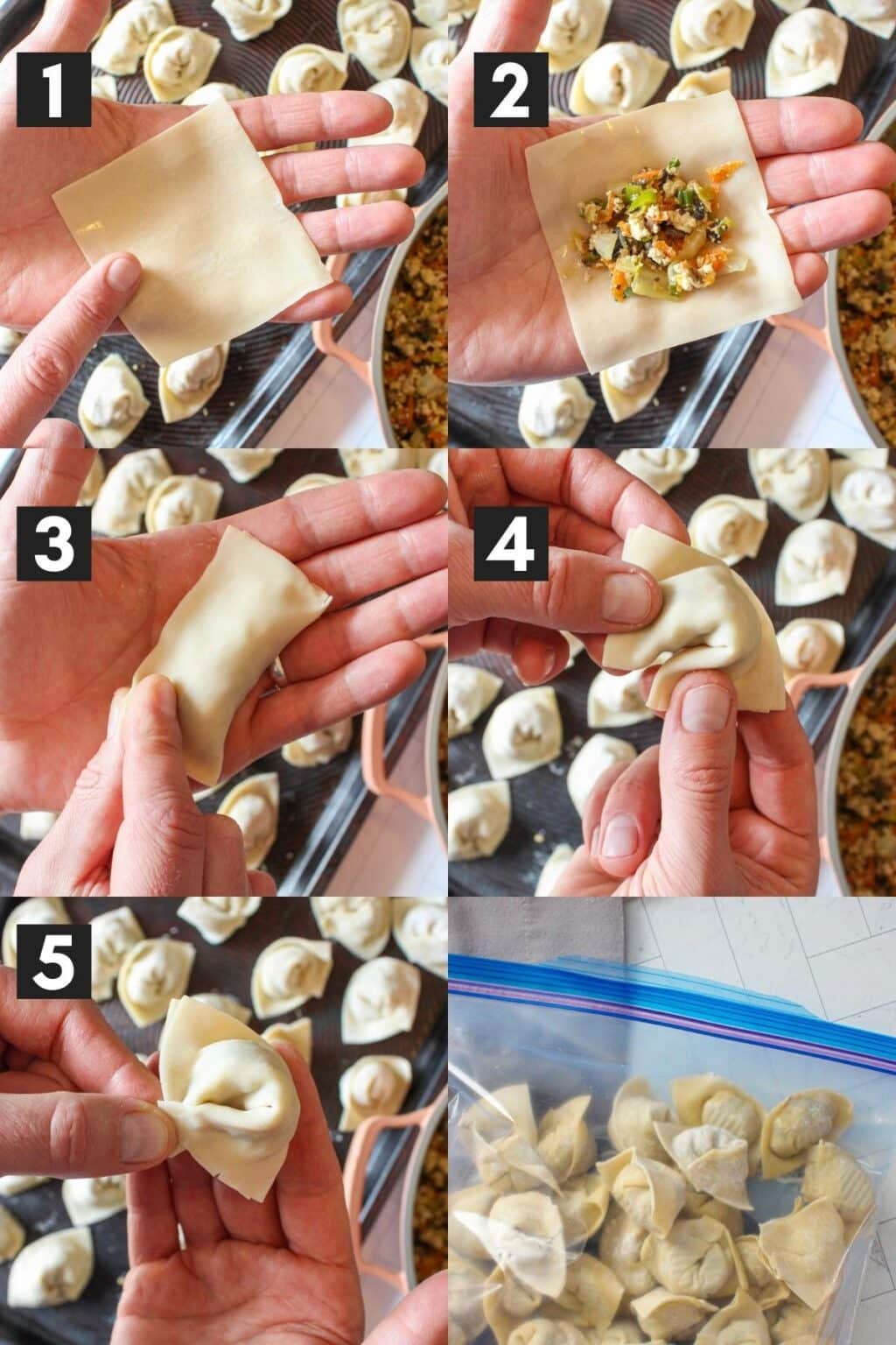 Vegan dumplings (tofu and veggies) - Damn Tasty Vegan