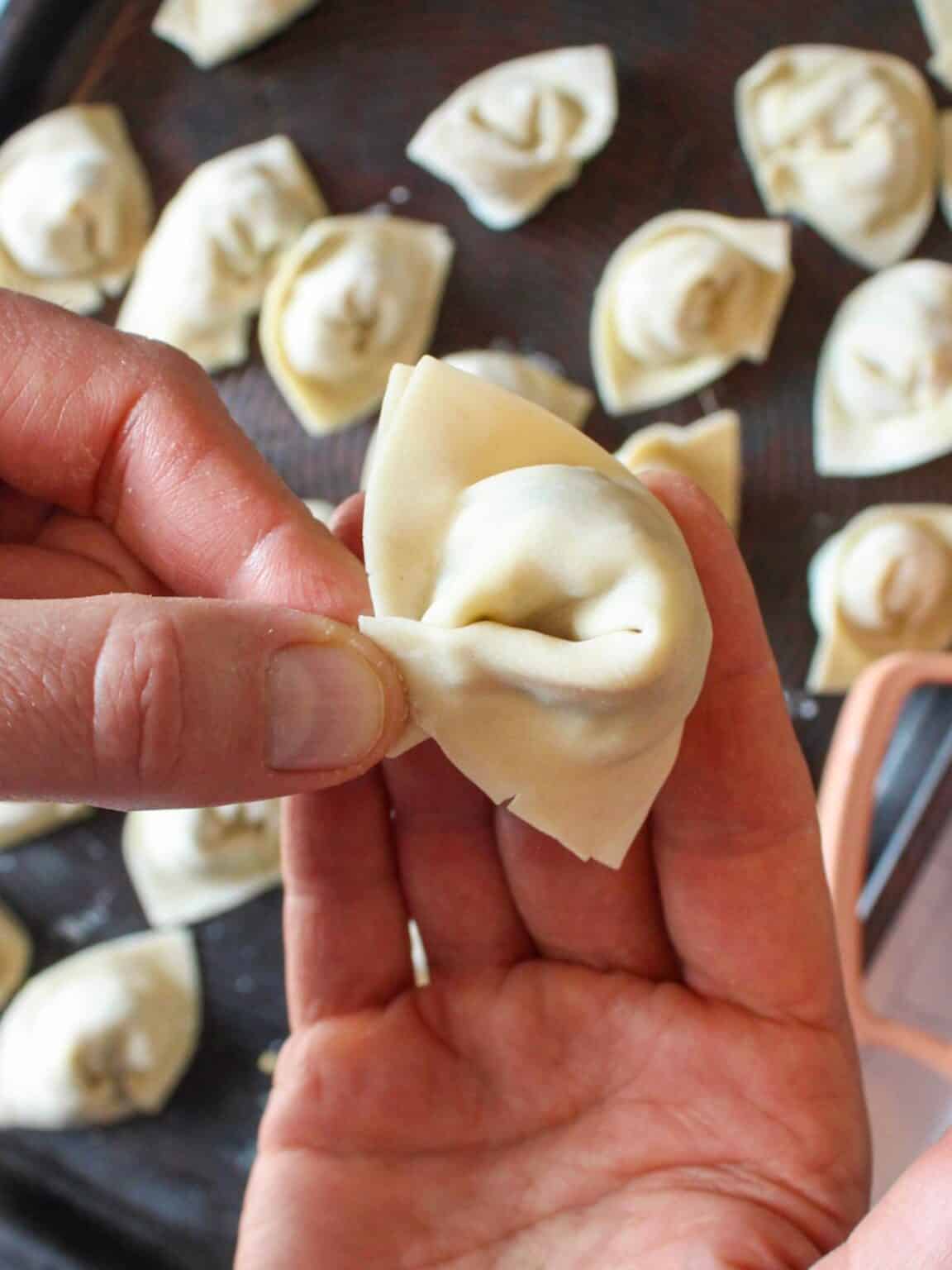 Vegan Tofu and Veggie Dumplings - Damn Tasty Vegan