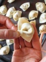 Vegan Tofu and Veggie Dumplings - Damn Tasty Vegan